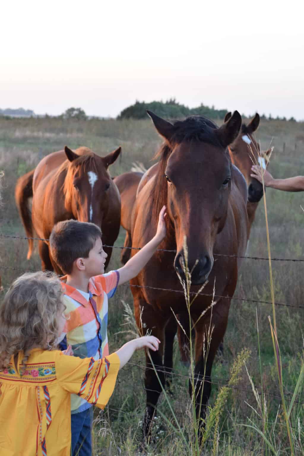 Raising Farm Kids: The Benefits of Country Living - Boots & Hooves ...