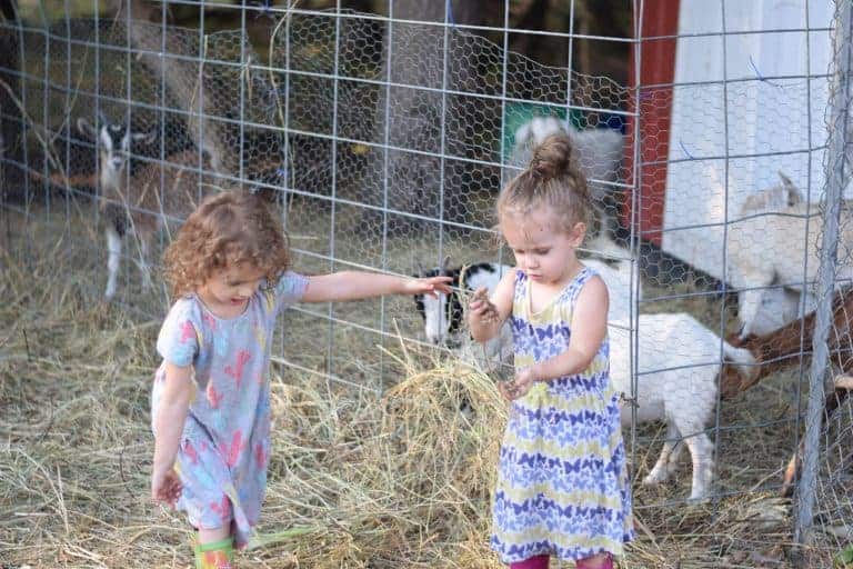 Raising Farm Kids: The Benefits of Country Living - Boots & Hooves ...