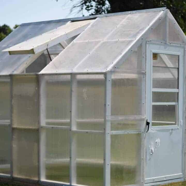 How To Build A Greenhouse Free Plans Boots And Hooves Homestead