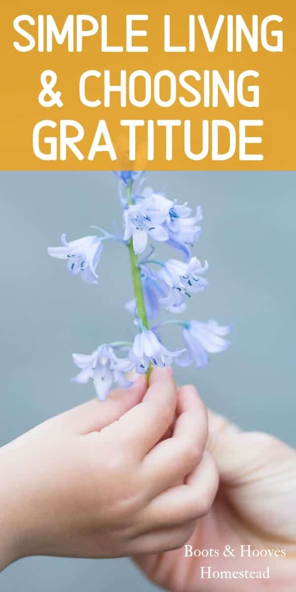 Simple Living & Choosing Gratitude - Boots & Hooves Homestead