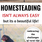This Homestead Life isn't Easy - Boots & Hooves Homestead
