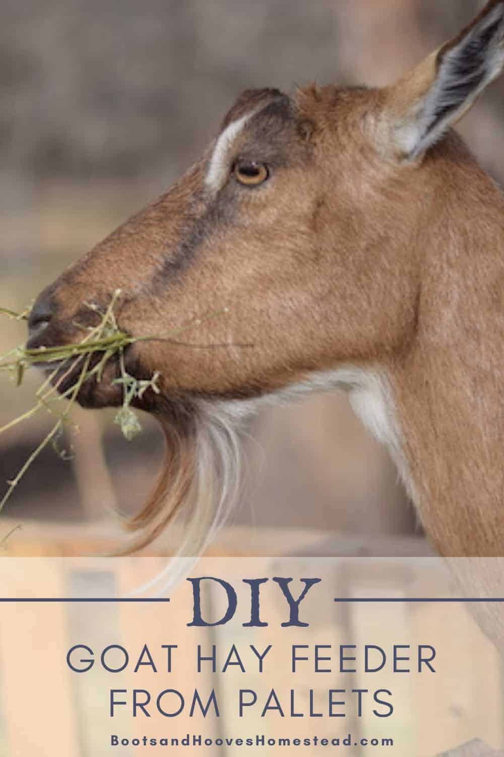 How To Build A Hay Feeder For Goats: A Step By Step Guide - Boots ...