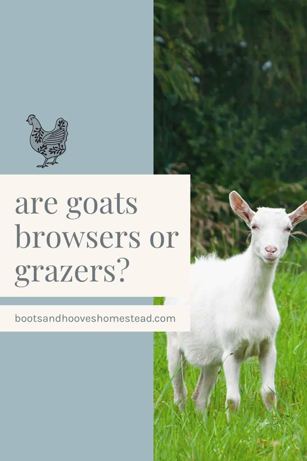 Are Goats Browsers or Grazers? - Boots & Hooves Homestead
