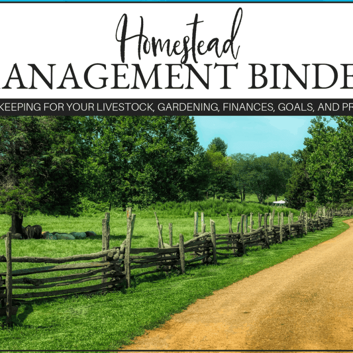Homesteading for Beginners (40+ Resources) - Boots & Hooves Homestead