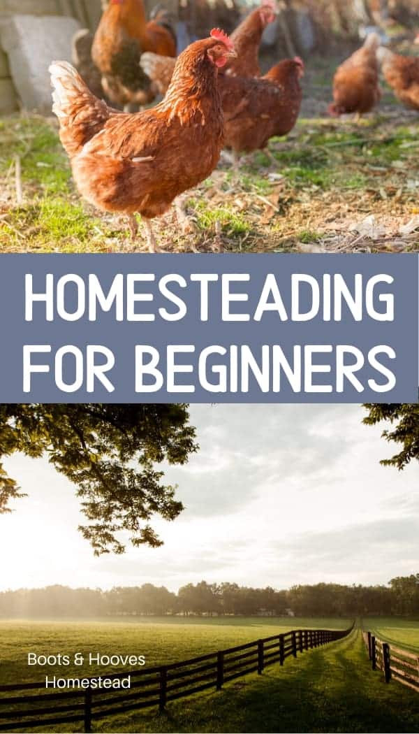 Homesteading for Beginners: Tips & Resources to Get Started - Boots ...