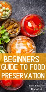 Beginner’s Guide to Canning and Preserving - Boots & Hooves Homestead