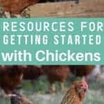 Raising Chickens Resources To Get Started Boots Hooves Homestead
