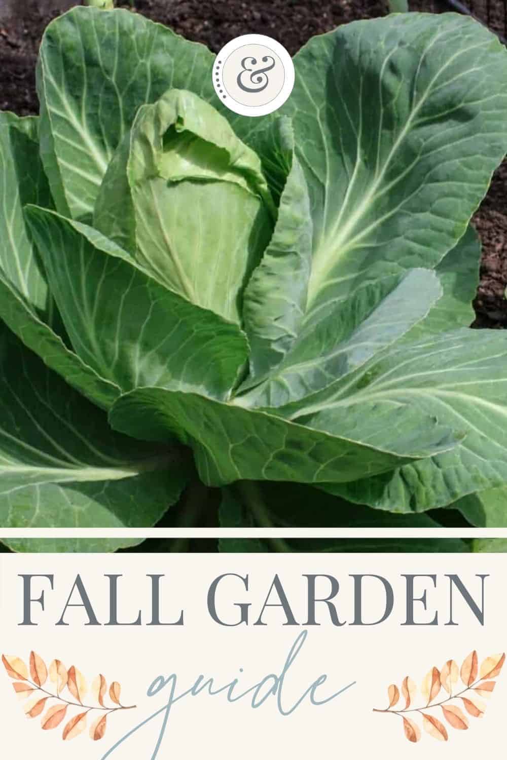Fall Garden Planting Guide - Boots & Hooves Homestead