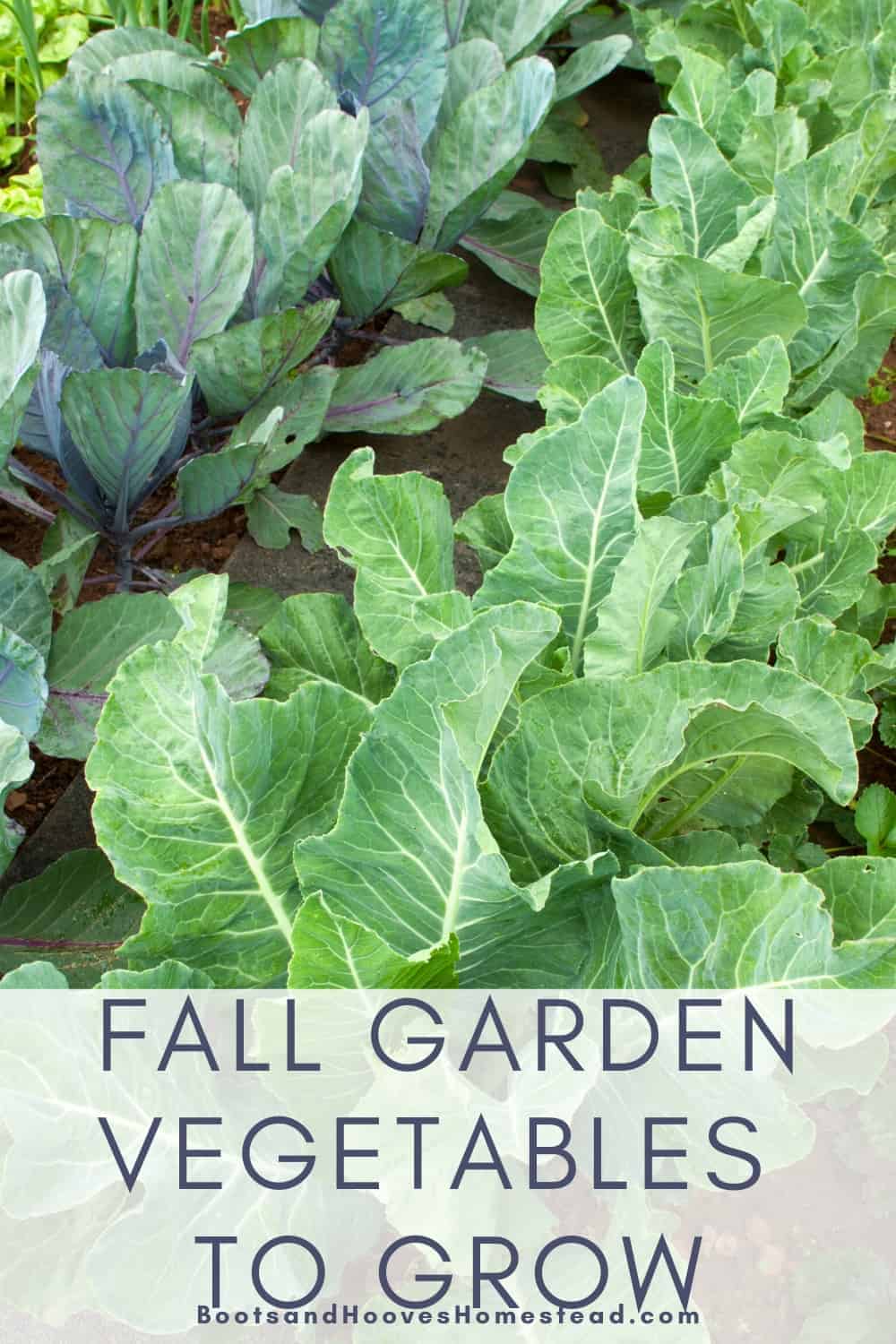 Fall Garden Planting Guide - Boots & Hooves Homestead