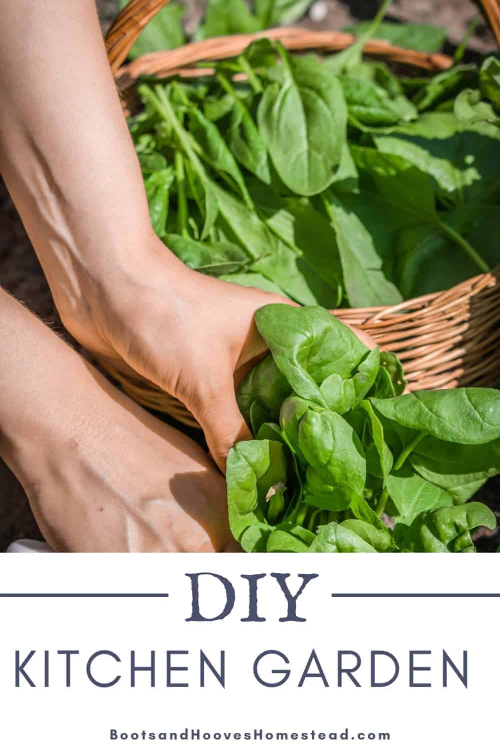 Creating a Kitchen Garden - Boots & Hooves Homestead