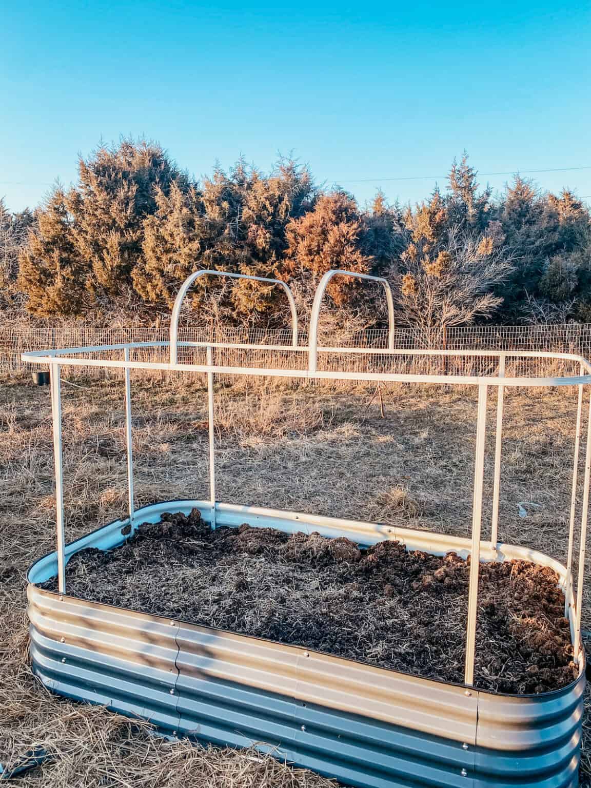 How to Build a Garden Arch Trellis (Cattle Panel Archway) - Boots ...