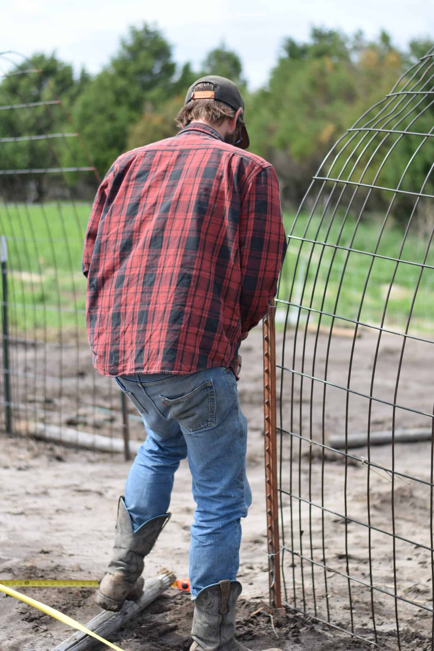 How to Build a Garden Arch Trellis (Cattle Panel Archway) - Boots ...