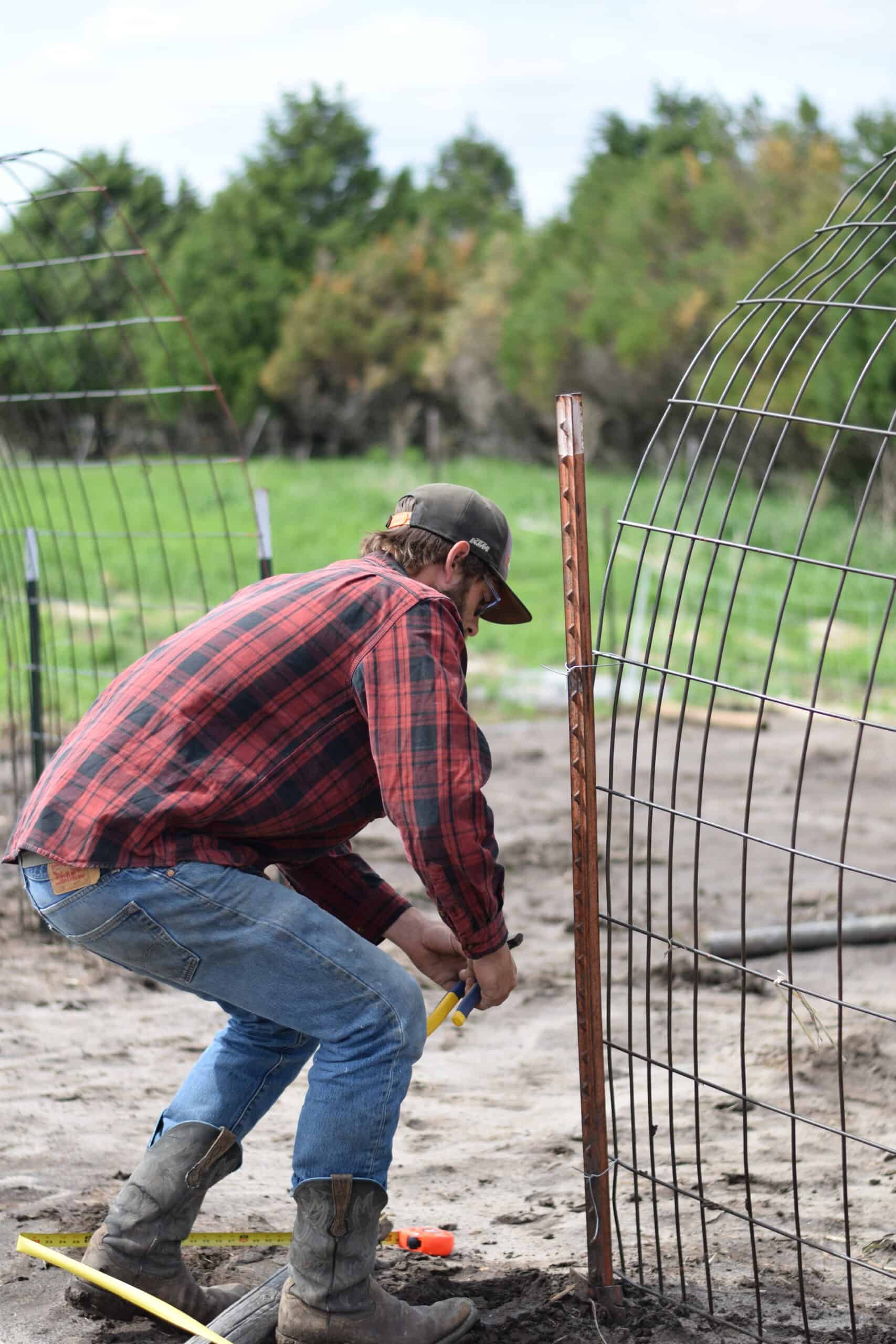 How to Build a Garden Arch Trellis (Cattle Panel Archway) - Boots ...
